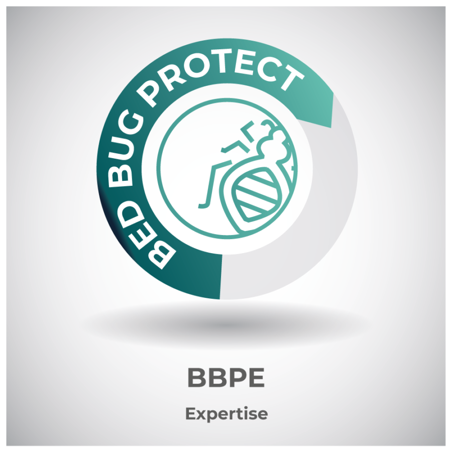 Formations, Qualifications, certificats BBP - INELP